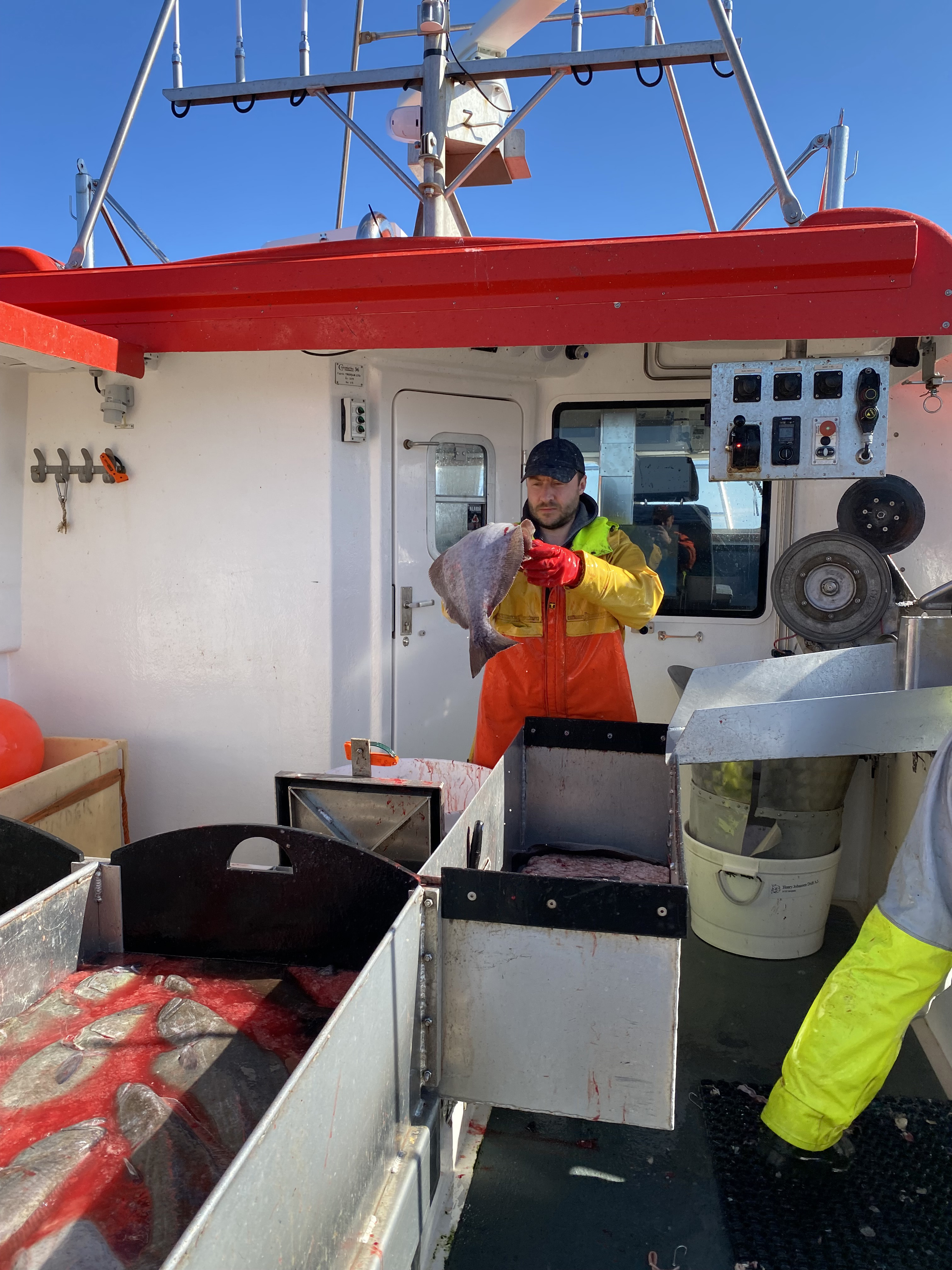 Foto: Daniel Lauritzen